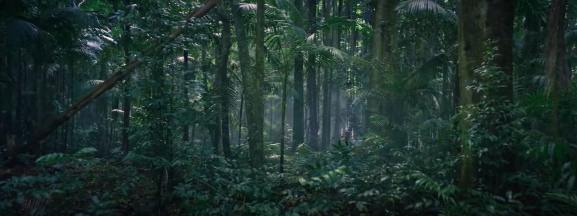 The Best Wilderness Survival Movies - OutdoorProfy