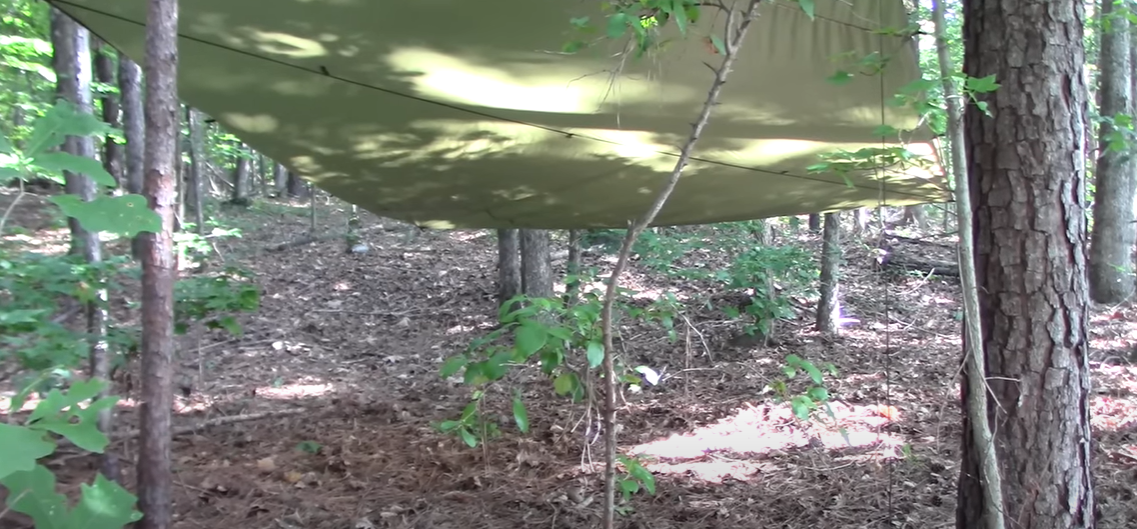 How to Camp in Hot Weather? - OutdoorProfy